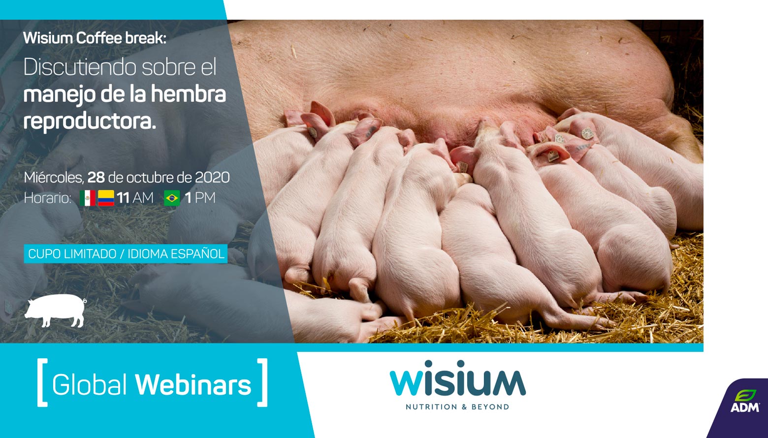 Llega el Primer Coffe Break de Wisium, ¡no te quedes fuera!