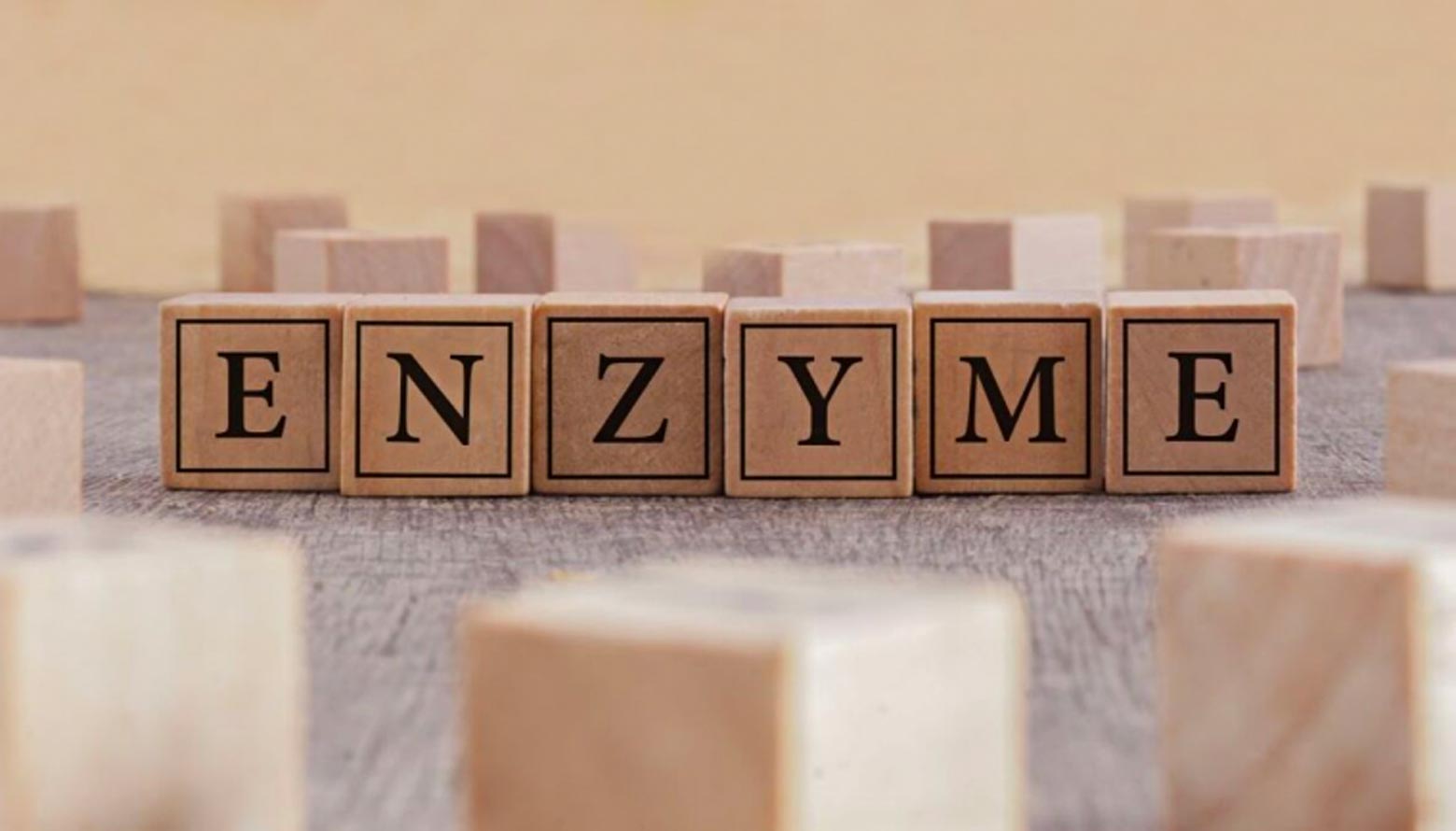 El uso de enzimas en la industria de alimento balanceado: Por qué ...